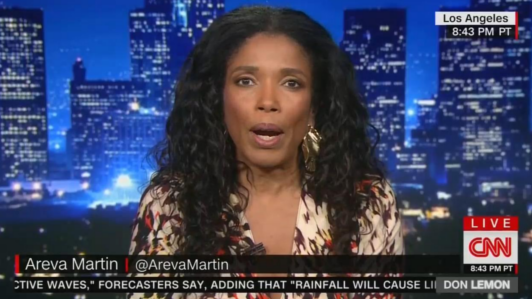 CNN Analyst Accuses David Webb of Having ‘White Privilege,’ He’s Black