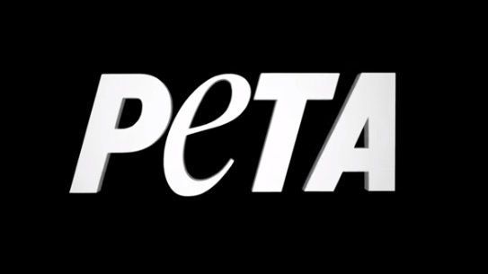 PETA: 'Stop Using Anti-Animal Language'