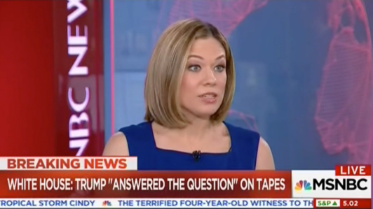 MSNBC’s Elise Jordan Compares President Trump to a Suicide Bomber
