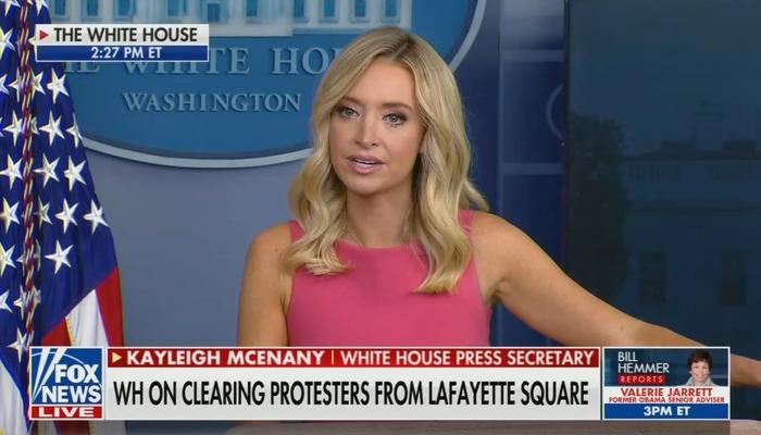 Poor CNN: Kayleigh McEnany Calls Out Fredo, Lemon for Defending Riots ...