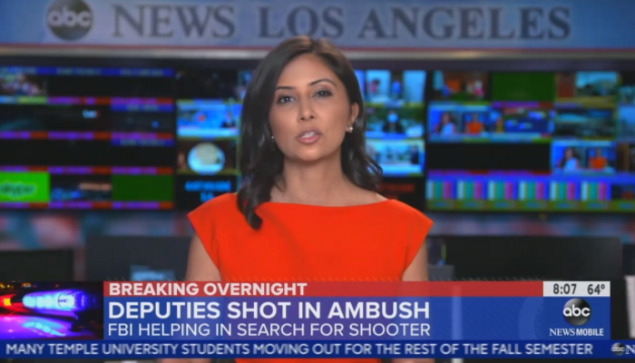 BLM Extremists Block ER Entrance, Chant ‘Death to Police,’ ABC Covers ...