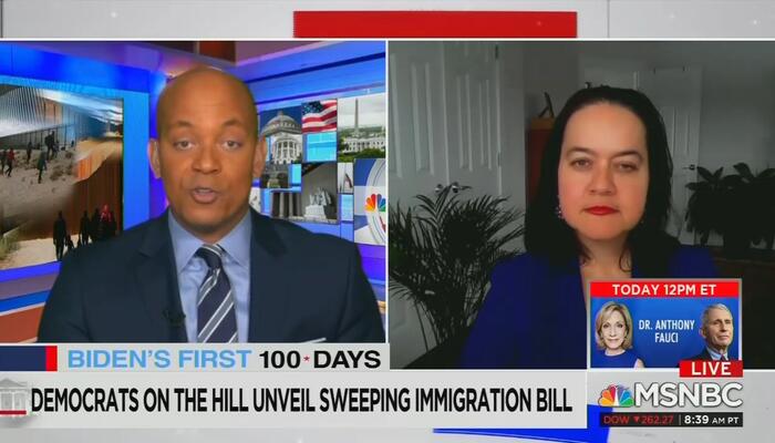 MSNBC Anchor Touts 'Visionary' Amnesty Bill, Replacement of Word 'Alien ...