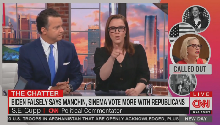 CNN's 'Practical Conservative' Cupp Screams At Viewers: Vote Out GOP ...
