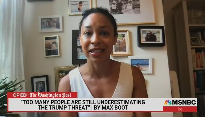 NYT's Mara Gay: Seeing American Flags on D-Day Anniversary Was ...