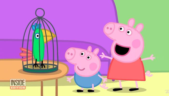 Pigs, Ships, and...Will Smith? You Won’t Believe Who Stelter Lost to in ...