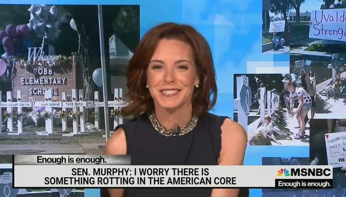Ruhle Suggests Civil War Never Ended, Wonders How 'Sick' is America ...