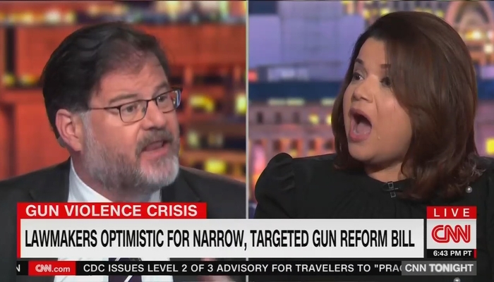 CNN Panel Erupts Into Chaos Over Simple Fact About School Shootings ...