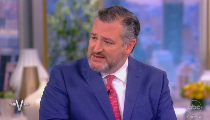 Vicious Lefty Media EXPLOIT Private Teen’s Mental Health to Smear ...