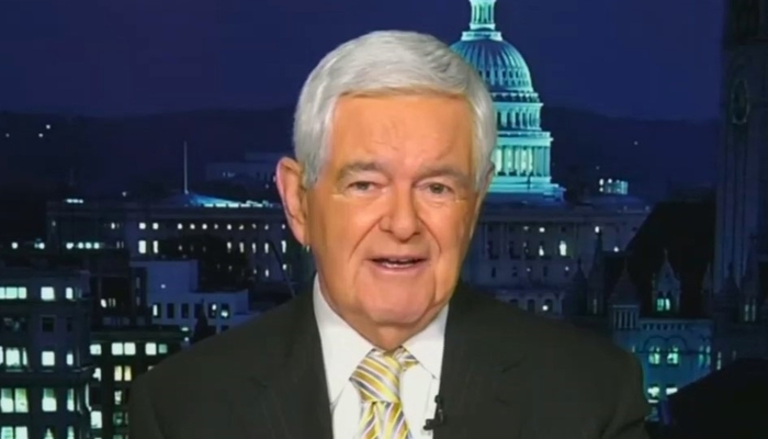 NPR Interview with Newt Goes Down Hilarious Path of Liberal Disbelief