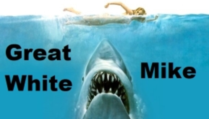 Study in WashPost: ‘Shark Week’ Features Too Many White Guys Named ...