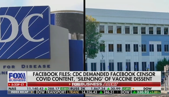 THE FACEBOOK FILES: It Wasn’t Just Twitter — How CDC Pressured Facebook ...