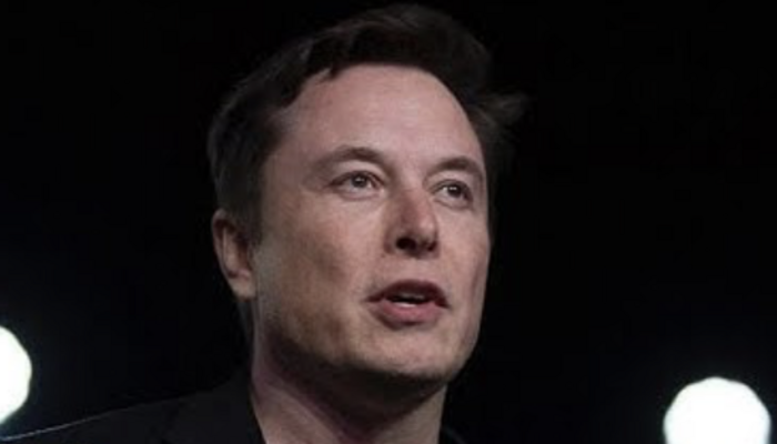Promise Kept? Elon Musk Doubles Down on Pledge to Support Free Speech