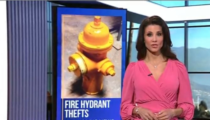 L.A. Hit with Fire Hydrant Crime Wave Prior to Current Fires