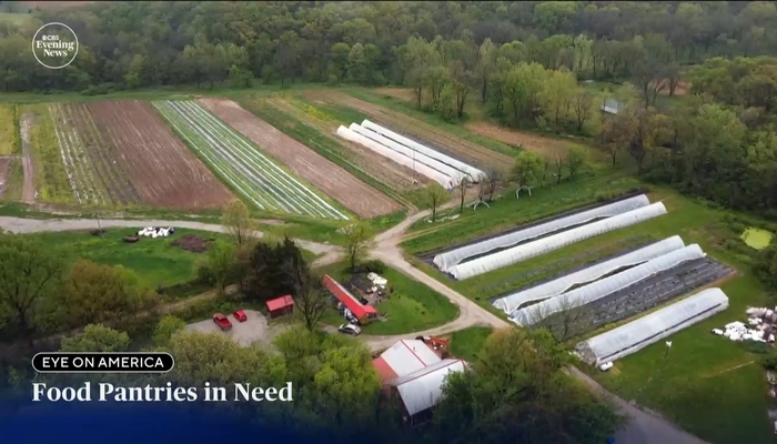 CBS Decries DOGE Cuts to COVID-Era Food Programs, Omits Important Info