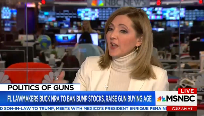 MSNBC: Other Countries Don’t Understand ‘America’s Obsession With Guns ...
