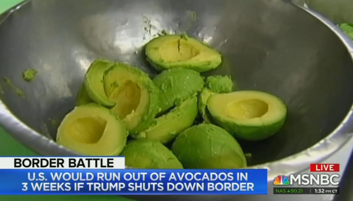 Holy Guacamole! MSNBC Fears Avocado Crisis if Trump Closes Border ...