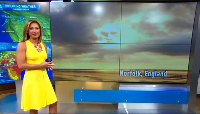 Associated Press, Media Analyst Call ABC Meteorologist Weather ...