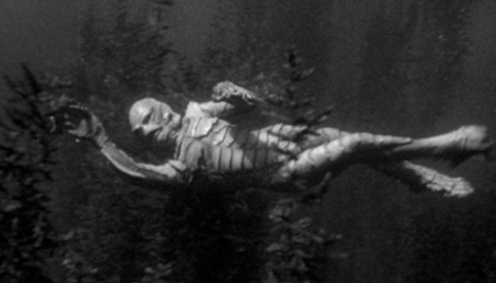 UK Telegraph: 'Humans Could Evolve Webbed Feet if Sea Levels Rise ...