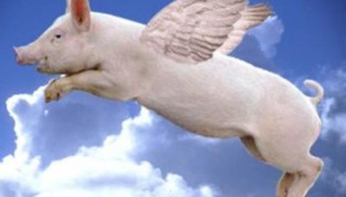 Flying Pigs Alert: Chris Matthews Praises Trump as 'Genius' | Newsbusters