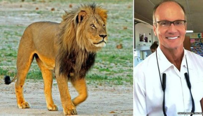 Reporter: Obama Should Stop U.S. Hunters From Killing Animals Like ...