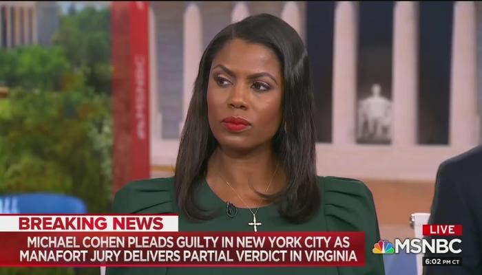 Womp, Womp: Omarosa's New Video Unveiled on MSNBC Is a Big Flop ...