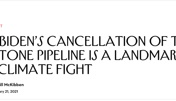 NY Times on Top of the Big Stories: ‘Leave It to Beagle’ as Warnock ...